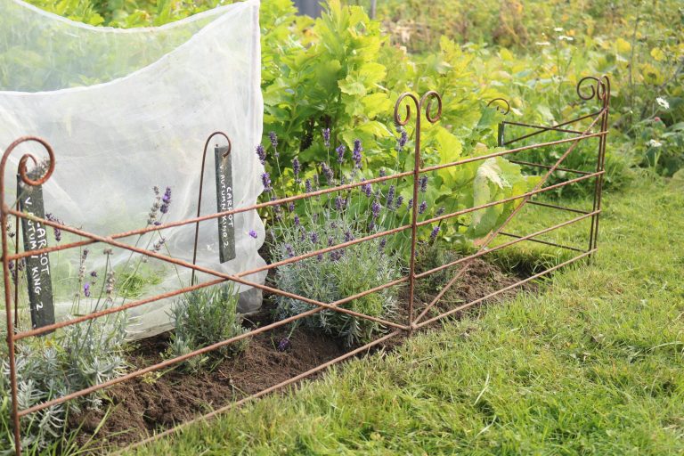 Border Edging Rusted – Orchard Garden Antiques