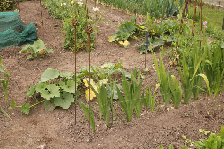 Set of 4 Metal Basket Stakes – Orchard Garden Antiques