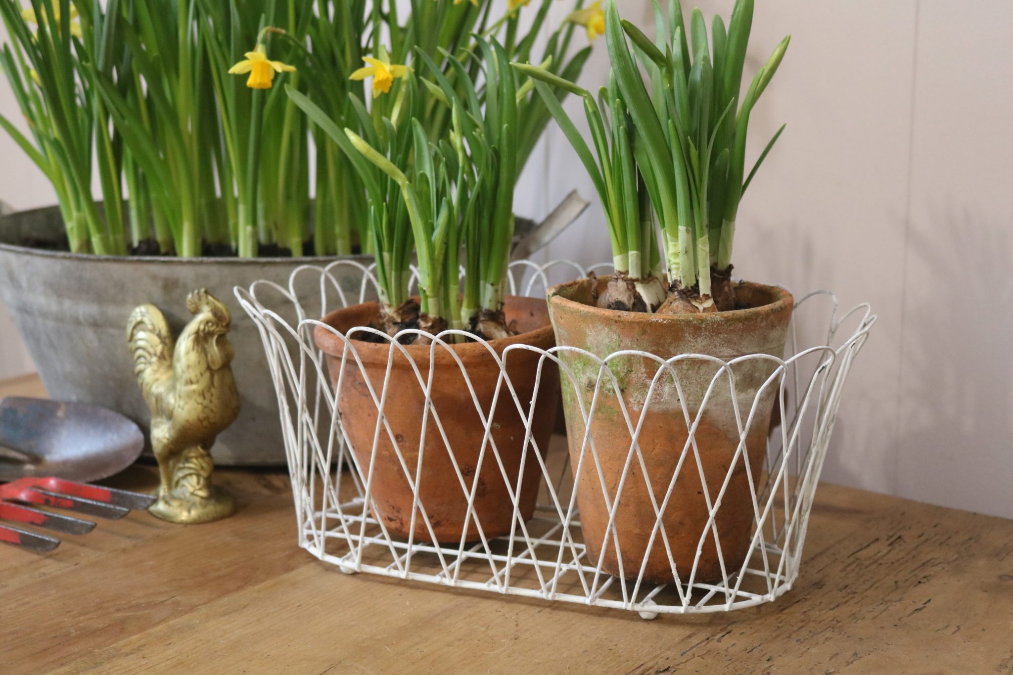 Wire Planter - Double - Orchard Garden Antiques